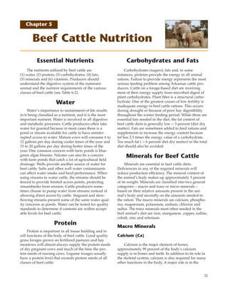 Beef Cattle Nutrition | PDF