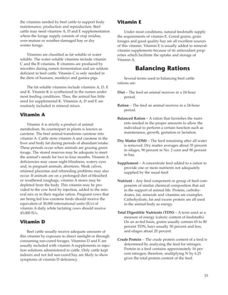 Beef Cattle Nutrition | PDF