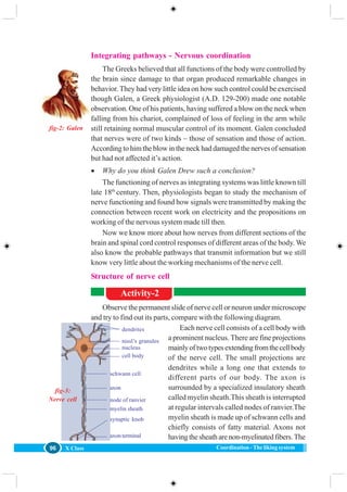 Chapter 5 | PDF | Brain and Nervous System Disorders | Diseases and Conditions