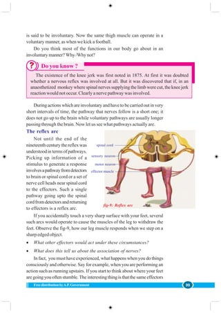Chapter 5 | PDF | Brain and Nervous System Disorders | Diseases and ...