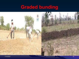Graded Bunding