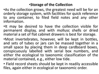Steps for the preservation of animals invertebrates and vertebrates | PPTX