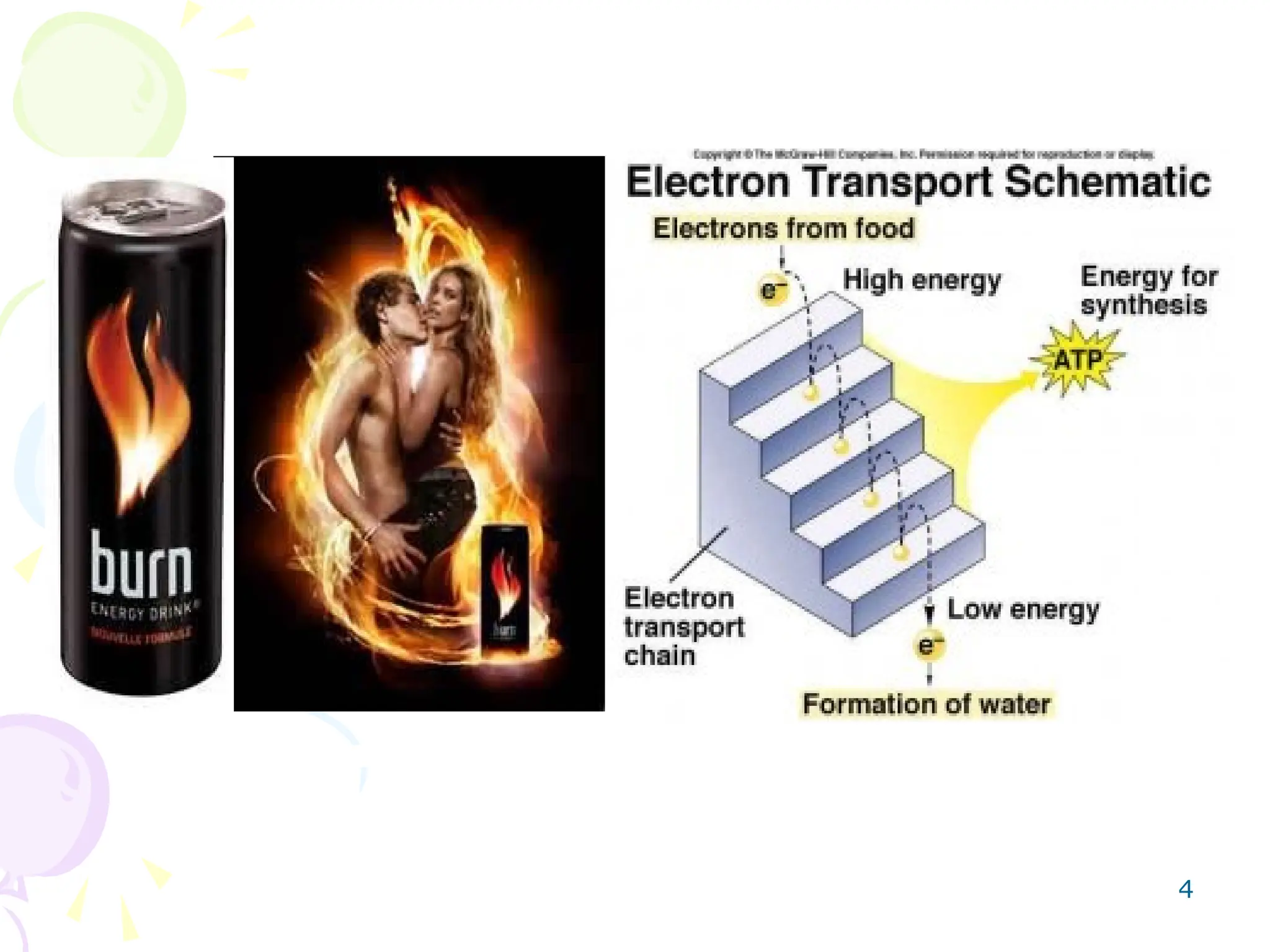 Chapter5-2 2Aerobic cellular respiration and peroxisomes.ppt