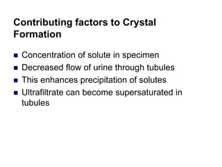Chapter 5. Microscopic examination of urine ppt | PPT