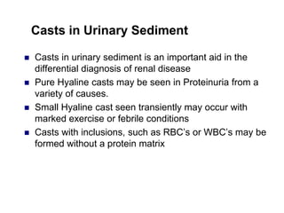 Chapter 5. Microscopic examination of urine ppt | PPT