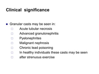 Chapter 5. Microscopic examination of urine ppt | PPT