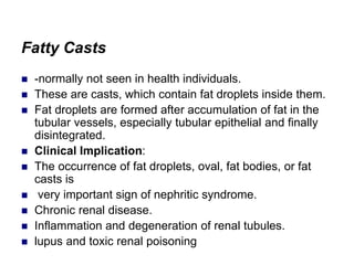 Chapter 5. Microscopic examination of urine ppt | PPT