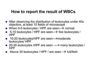 Chapter 5. Microscopic examination of urine ppt | PPT