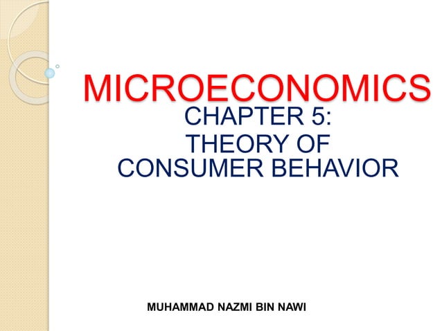 Microeconomics - Theory of consumer behaviour.pptx | Home Utilities | Personal Finance
