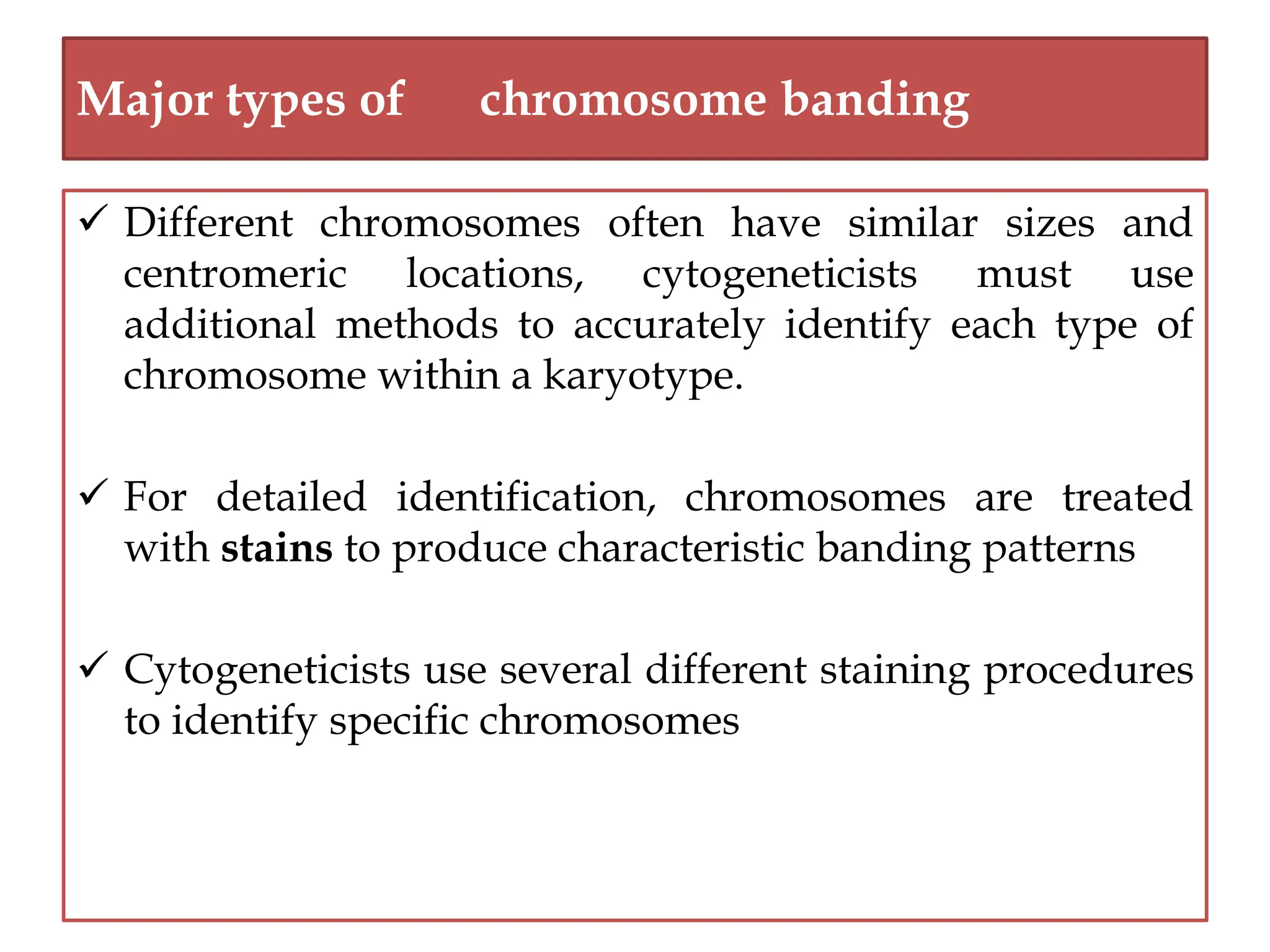 chapter 5. xms banding and karyotyping.pptx