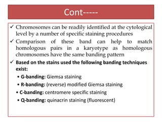 chapter 5. xms banding and karyotyping.pptx