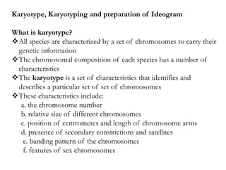 chapter 5. xms banding and karyotyping.pptx