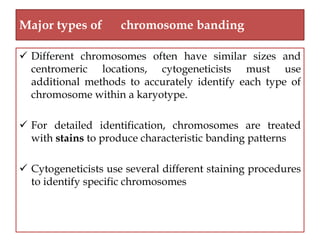 chapter 5. xms banding and karyotyping.pptx