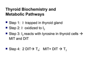 Chapter 5 .2 ThyroidFunction includimg T3,T4 and TSH | PPT
