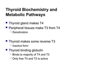Chapter 5 .2 ThyroidFunction test For medical laboratory | PPT