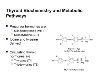 Chapter 5 .2 ThyroidFunction test For medical laboratory | PPT