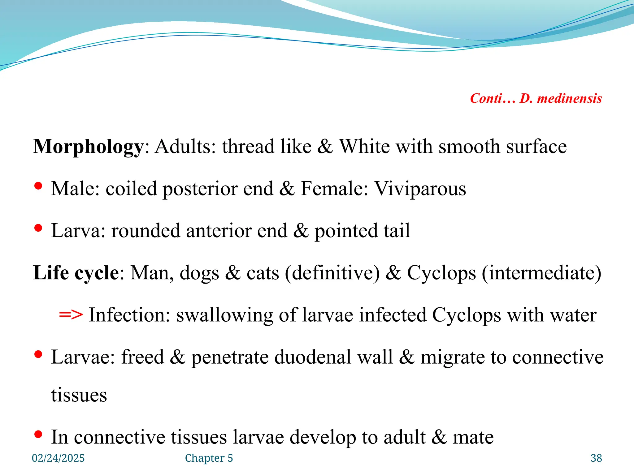 chapter 5.pptxuytrdffdfdrdiyugyokkkooojj | PPTX