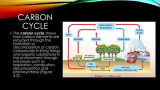 Chapter 5 Chemistry Form 5 PPT Notes SPM | PDF