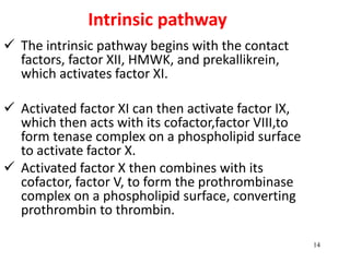 Chapter 5-5 HEMORRHAGIC DISEASES OF THE NEWBORN.pptx