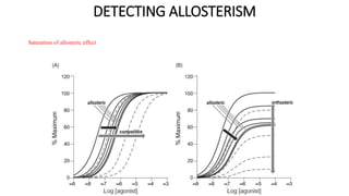 Chapter 5 allosteric drug effects | PPT