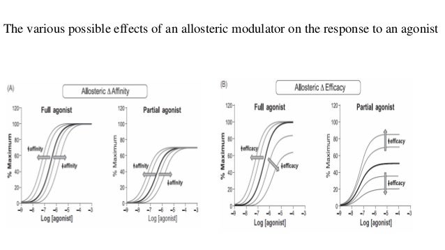 Chapter 5 allosteric drug effects