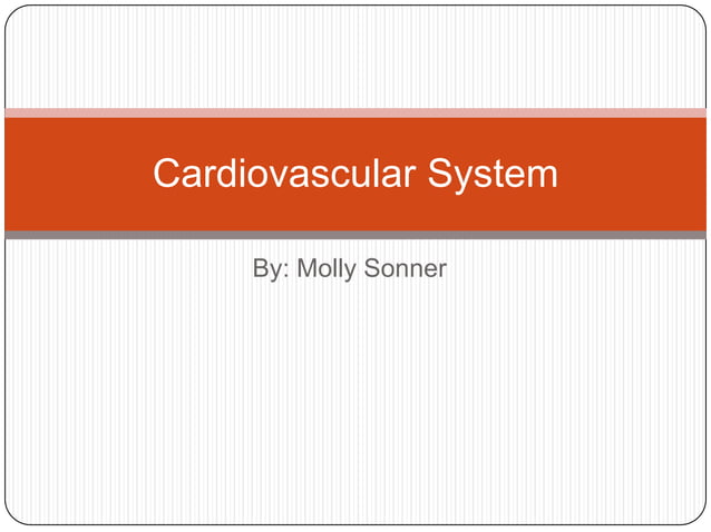 Chapter 5 - Cardiovascular System | PPT