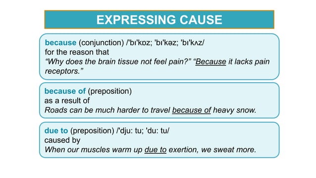 Chapter 5 - Cause Effect.pptx