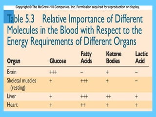 Chapter_5_-_Cell_Respiration_and_Metabolism.ppt