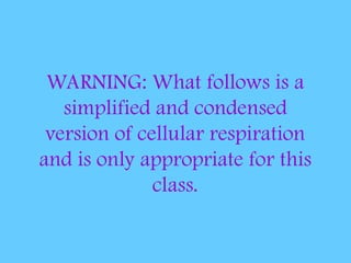 Chapter_5_-_Cell_Respiration_and_Metabolism.ppt