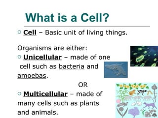 Chapter 5 - Cell Structure.ppt. show functions | PPT
