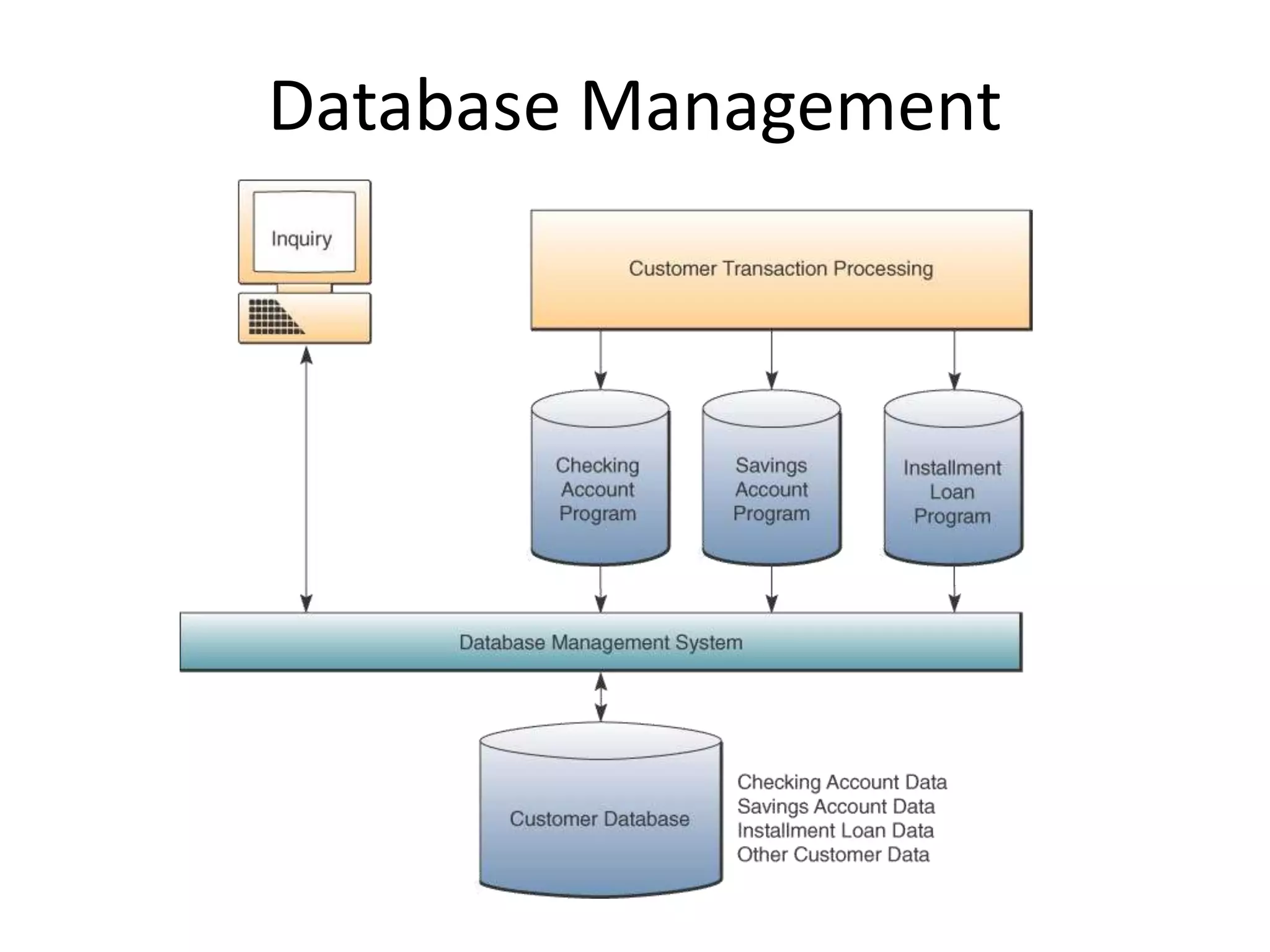 Chapter 5 data resource management | PPT