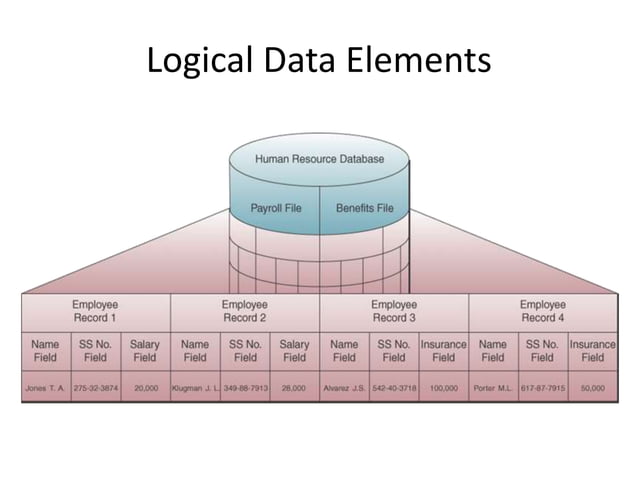 Chapter 5 data resource management | PPT