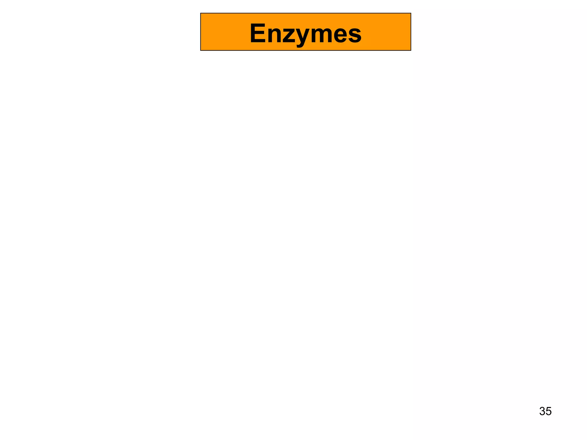 Chapter 5 enzymes | PPT | Chemistry | Science