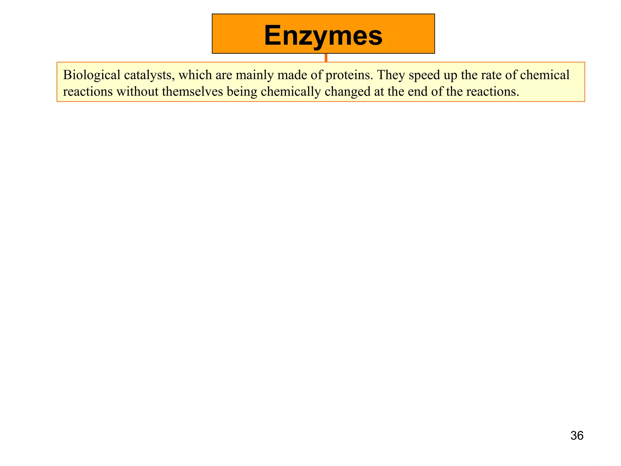 Chapter 5 enzymes | PPT | Chemistry | Science