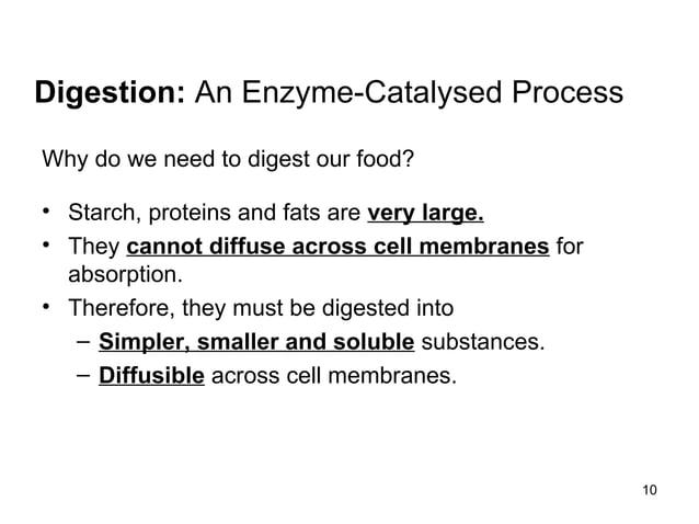 Chapter 5 enzymes | PPT | Chemistry | Science