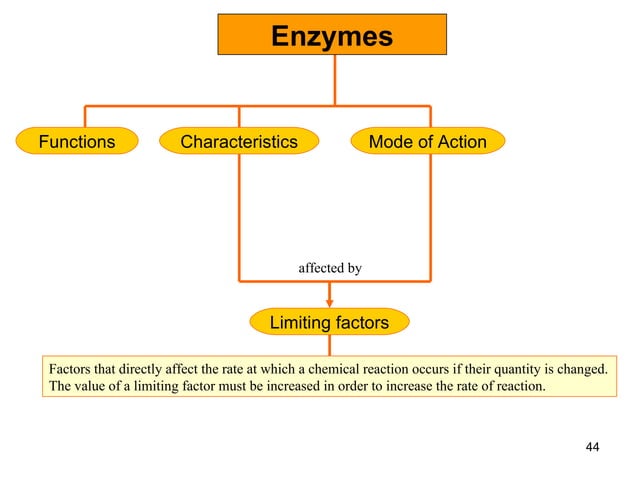 Chapter 5 enzymes | PPT | Chemistry | Science