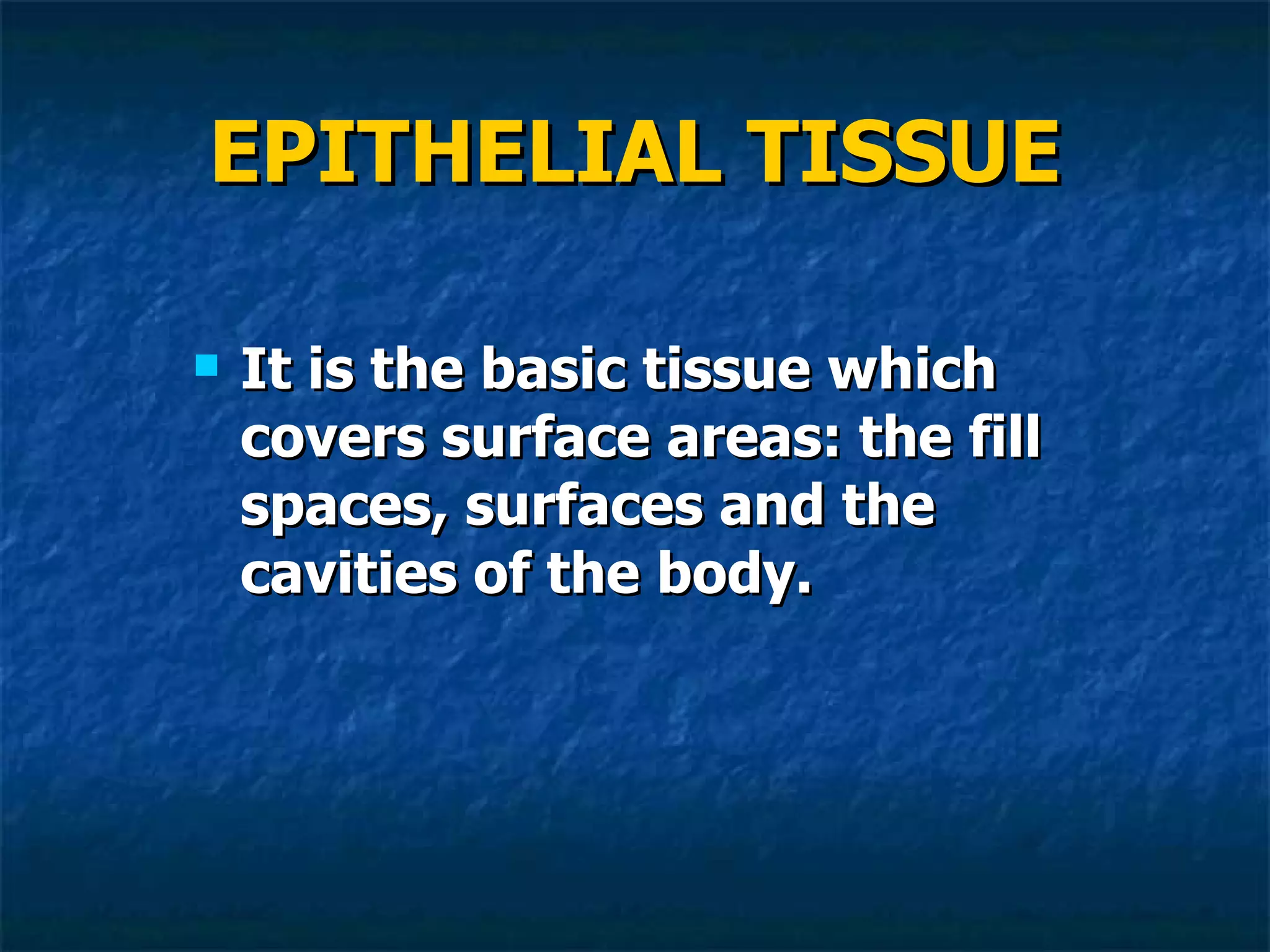 Chapter 5 epith | PPT