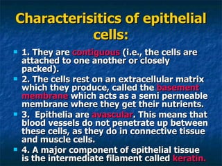Chapter 5 epith | PPT