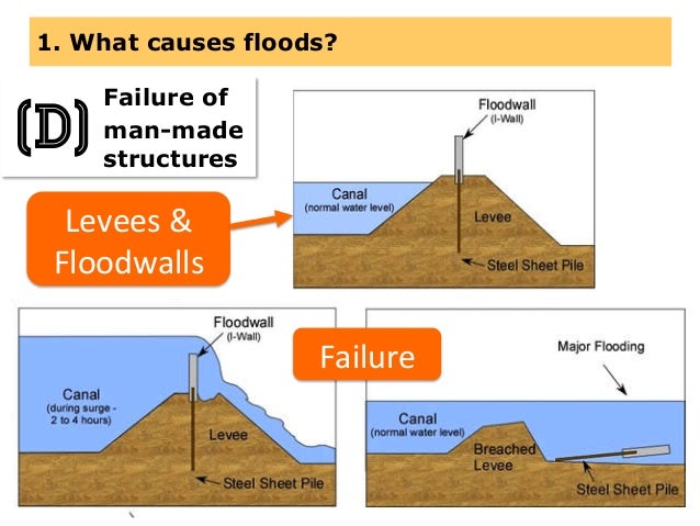 Artificial Levee Diagram