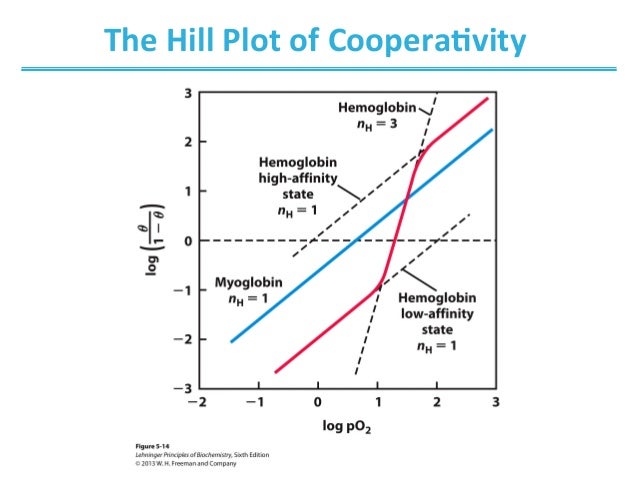 Chapter 5 globularproteins - Biochemistry