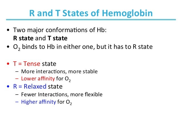 Chapter 5 globularproteins - Biochemistry