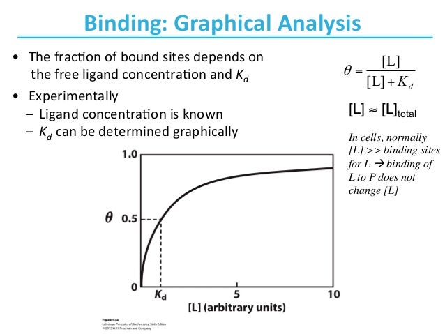 Chapter 5 globularproteins - Biochemistry