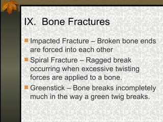 Chapter 5 Skeletal System | PPT