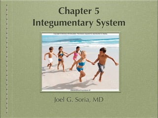 Chapter 5 integumentary | PPT