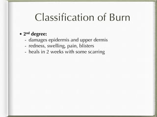 Chapter 5 integumentary | PDF