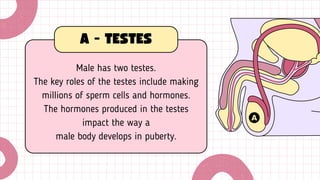 Chapter,,,,,,,,,,,,,,, 5 - Meeting 1.pdf