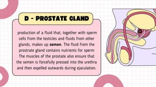 Chapter,,,,,,,,,,,,,,, 5 - Meeting 1.pdf