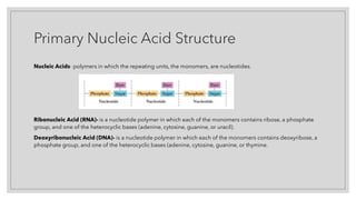 Chapter 5- Nucleic Acids (ppt).pdf