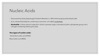 Chapter 5- Nucleic Acids (ppt).pdf