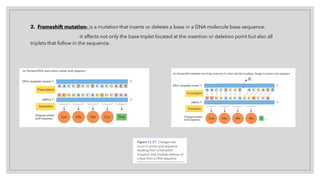 Chapter 5- Nucleic Acids (ppt).pdf